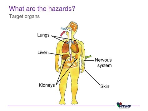 Ppt Introduction To Coshh Housekeeping Preventing Exposure To