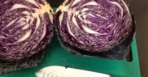 As Snug As A Bug In A Rug Red Cabbage Indicator Investigation