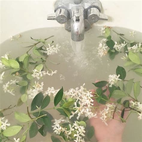 Aesthetics Moodboards And Playlists On Tumblr