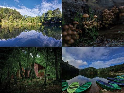 Reforestamos México Ac En Linkedin Presentan Modelo De Desarrollo De