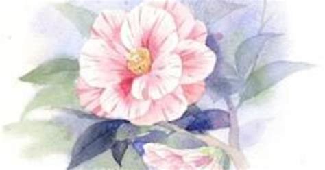 文登代开增值税发票 Imgur