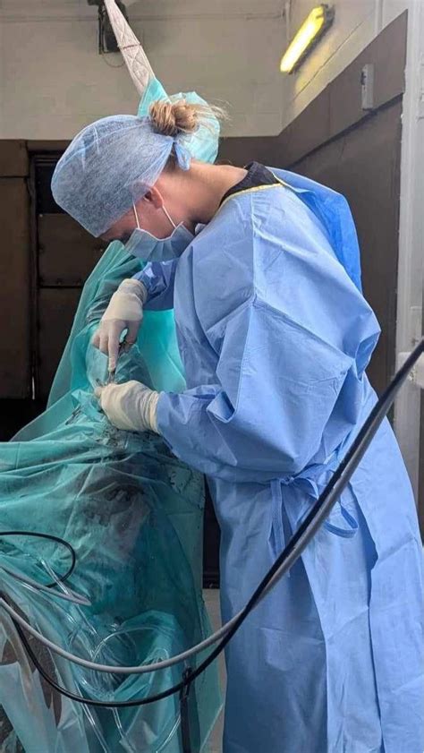 Evelyn Lewis On Linkedin I Am Very Pleased To Say I Have Recently Passed My Final Year Exams…