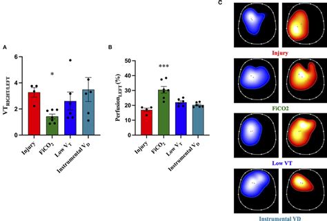 Distribution Of Ventilation And Perfusion By Eit The Ratio Between