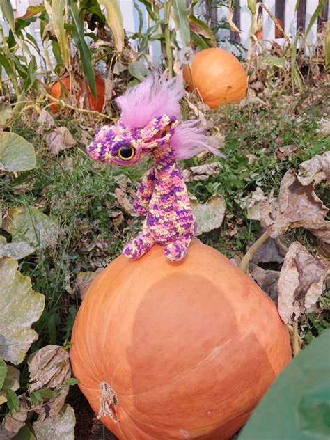 Went For A Mini Photoshoot This Chained In The Loops