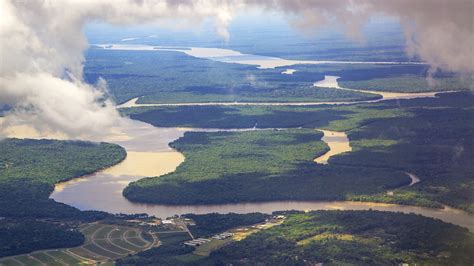 Se Destruyeron 12 Millones De Hectáreas De Selvas Tropicales En 2018