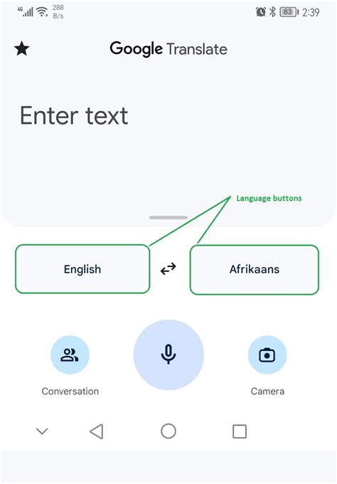 How to Use Google Translate Offline - IT Experts