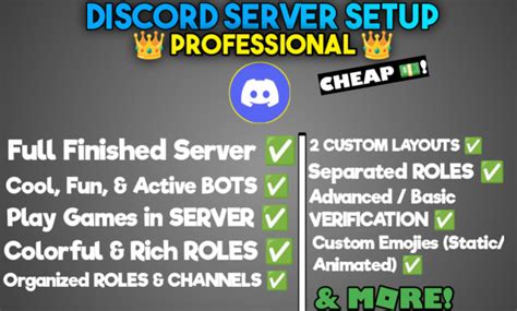 Setup Or Design Your Discord Server By Danucraft Fiverr