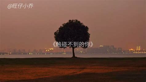 触碰不到的你旺仔小乔直播弹唱版 像阵风略过就无踪影 onlyu onlyu 哔哩哔哩视频