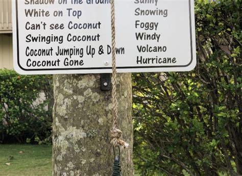 Simple Diy Weather Station Sky Lights