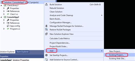 C Visual Studio SourceLink Nuget Integration With Separate Solution