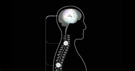 Neuralinks Upgraded Brain Chip Hopes To Help The Blind See And The Paralyzed Walk Cnet