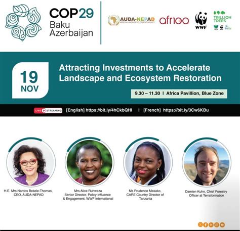 Trillion Trees Birdlife Wcs Wwf On Linkedin Cop29