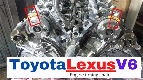 Lexus Rx 350 Timing Chain Replacement Interval At Evelyn Morgan Blog