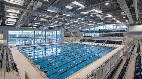 Aquatic Arena Stock Illustrations 197 Aquatic Arena Stock