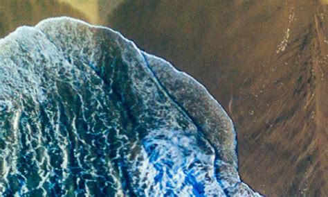 Turning the tide: five strategies for growth and profitability ...