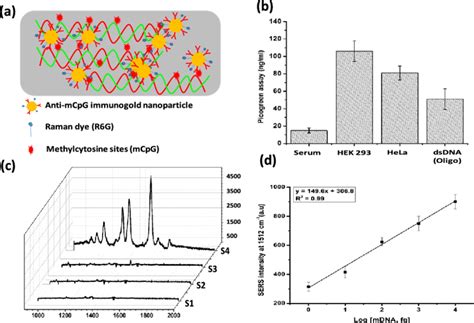 Global Dna Methylation Detection Using A Glass Based Sers System A