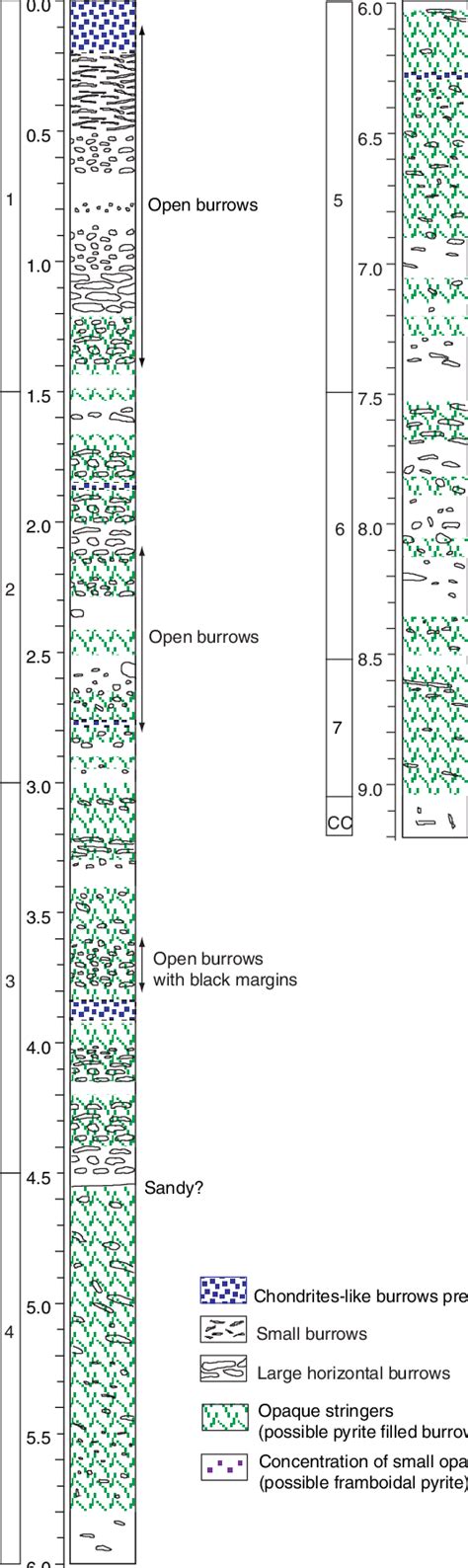 Core 167 1016c 1h Columnar Section Based On Visual Observation And Soft