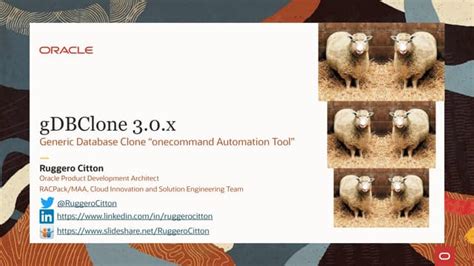 Gdbclone Database Clone “onecommand Automation Tool” Pdf Databases Computer Software And