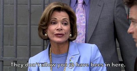 When You See Someone Having Bees In A Place Where They Dont Allow You