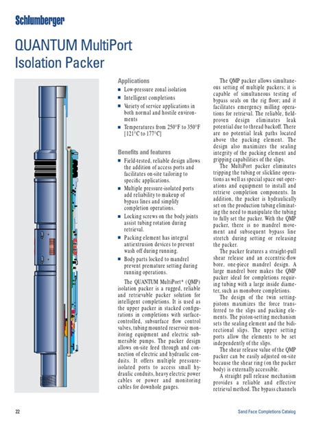 P22 23 Quantum Multiport Isolation Packer Pdf Engineering Manufactured Goods