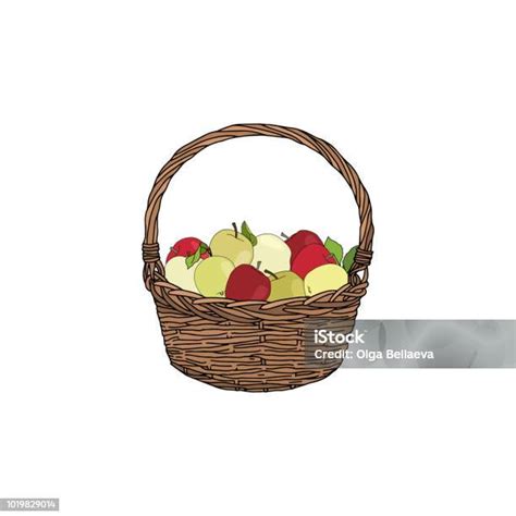 사과 흰 배경에 고립의 다른 종류와 바구니 가 수확 심볼 로고 엠 블 럼입니다 과일로 벡터 일러스트입니다 0명에 대한 스톡 벡터