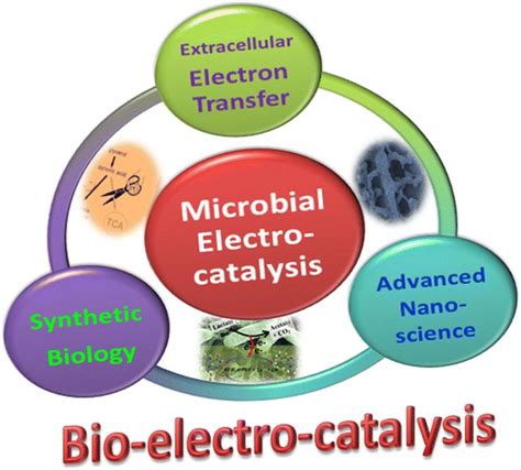 Electrochemical Energy Reviews