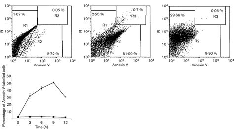 Representative Dot Plots And Graphical Representation Of Similar