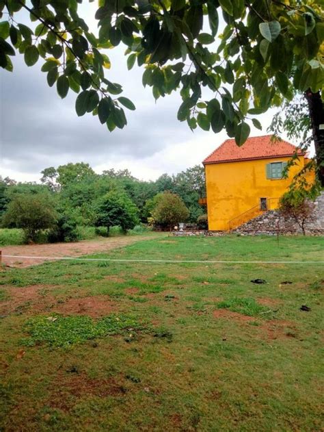 ขายที่ดินเปล่า ถนนธนะรัตน์ กม 13 5 ตำบล หมูสี อ ปากช่อง จ นครราชสีมา เขาใหญ่ เนื้อที่ 102