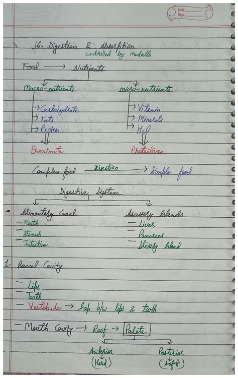 SOLUTION DIGESTION AND ADSORPTION Full Chapter NCERT Based NEET Notes Studypool