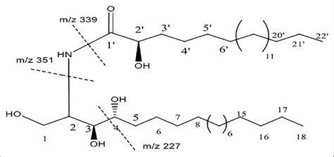 Mass Fragmentation Patterns Of Compound 2 Download Scientific Diagram