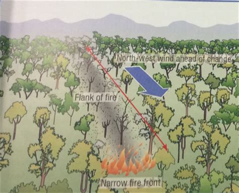 Geographical Process Aussie Bush Fires