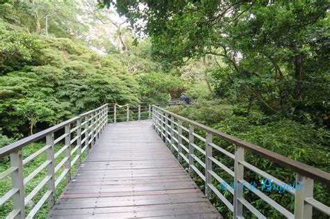 觀音山國家風景區輕鬆走林梢步道適合親子遊踏青步道 遇見天使~angela