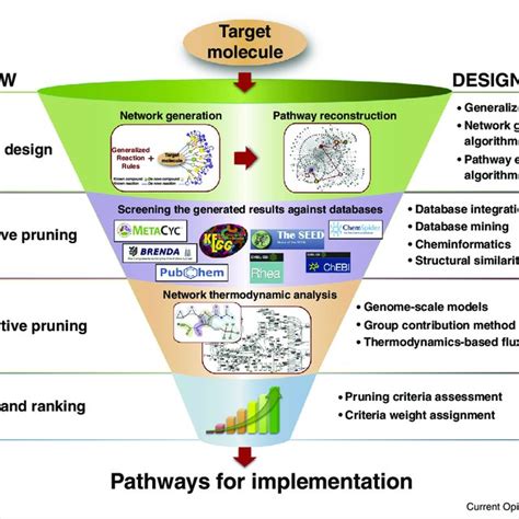 Pdf Design Of Computational Retrobiosynthesis Tools For The Design Of