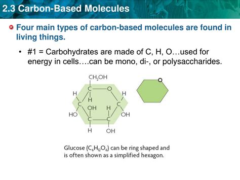 What Are Carbon Based Molecules At Lisa Sedlak Blog