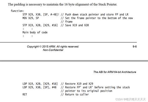 arm v8a体系结构 第九章 arm64平台的abi（application binary interface ） arm abi规范 csdn博客