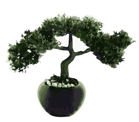 Bonsai Tree Dwg Drawing Thousands Of Free CAD Blocks