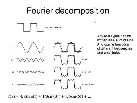 The Eye Ppt Download