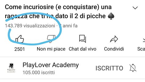 Playlover University Playlover Academy
