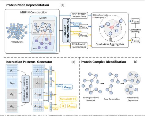 Figure 1 From Spatiotemporal Constrained Rnaprotein Heterogeneous Network For Protein Complex