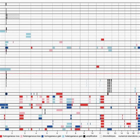 Summary Of Segmental Chromosomal Aberrations 3mb Detected By Snp