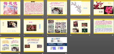 《梅花魂》ppt课件下载2 第一ppt