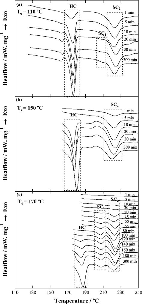 Dsc Curves During The Heating To 250 °c 10 °c Min After The