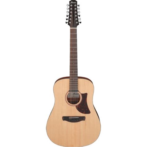 Ibanez AAD1012E Open Pore Natural 12 String Advanced Acoustic Guitar