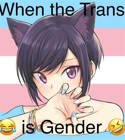 Unfunny Trans Circlejerk Rule R 19684