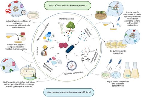 Frontiers Reaching Unreachables Obstacles And Successes Of Microbial