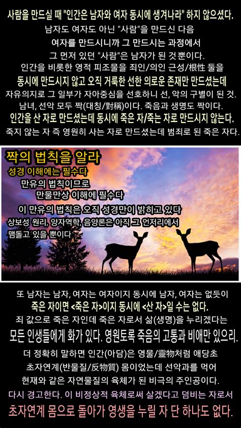 인생 항로의 북극성polaris 5월 2021