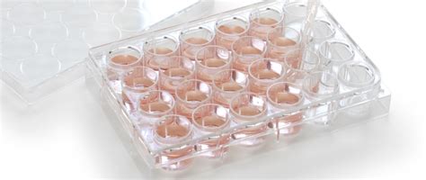 Ligand Binding Assay • Frontage Laboratories