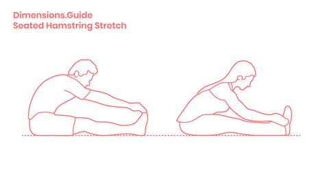 Seated Hamstring Stretch Dimensions And Drawings