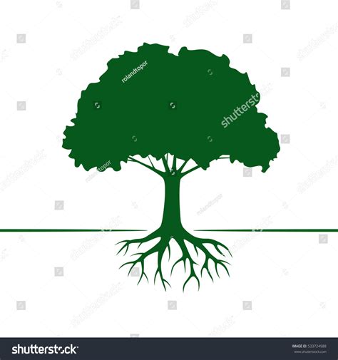 Green Vector Tree Roots Vector Illustration Stock Vector Royalty Free Shutterstock