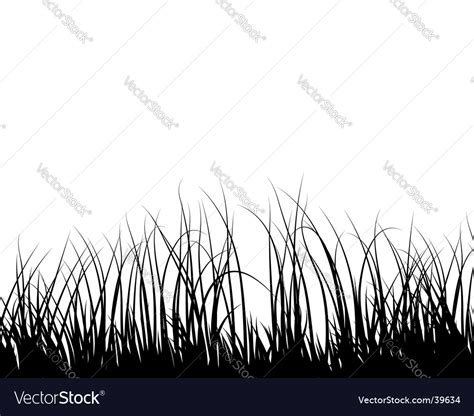 Grass Silhouette Royalty Free Vector Image Vectorstock